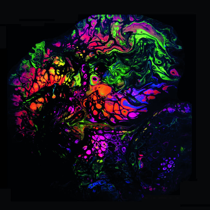 LEE RANALDO/ROB MENARD SPLIT RELEASE | Lee Ranaldo & Rob Menard (split ...