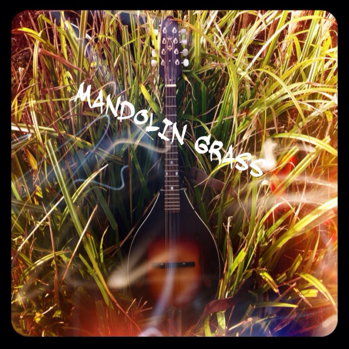 Mandolin Grass - Roots | Mandolin Grass