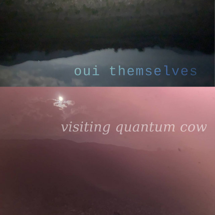 visiting quantum cow | oui themselves | caryoscelus