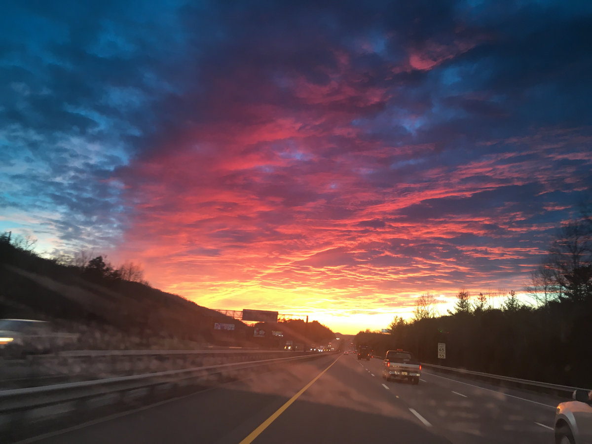At the Heart of it All | Martha McCann Lesnick