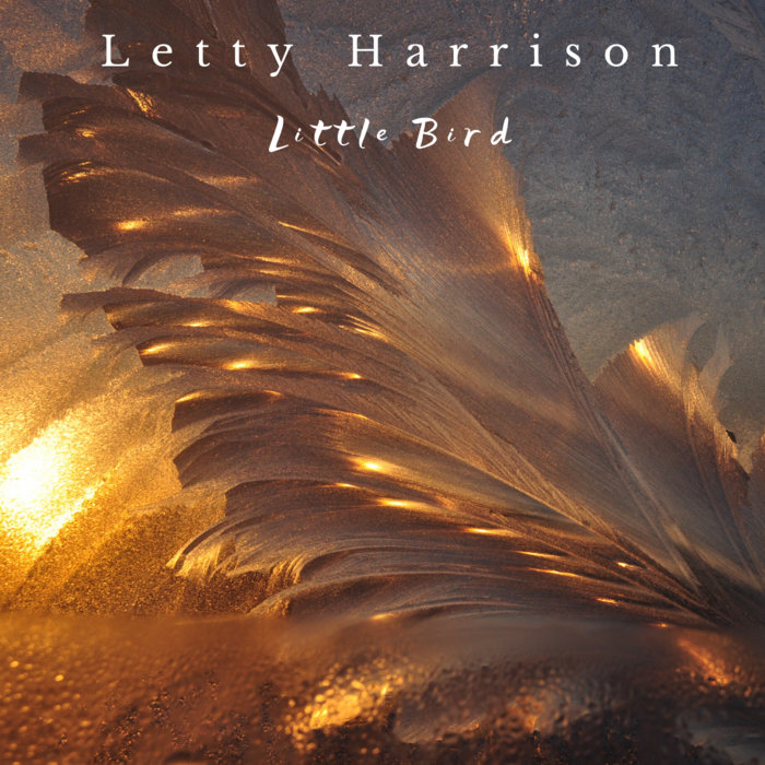 Little Bird | Letty Harrison