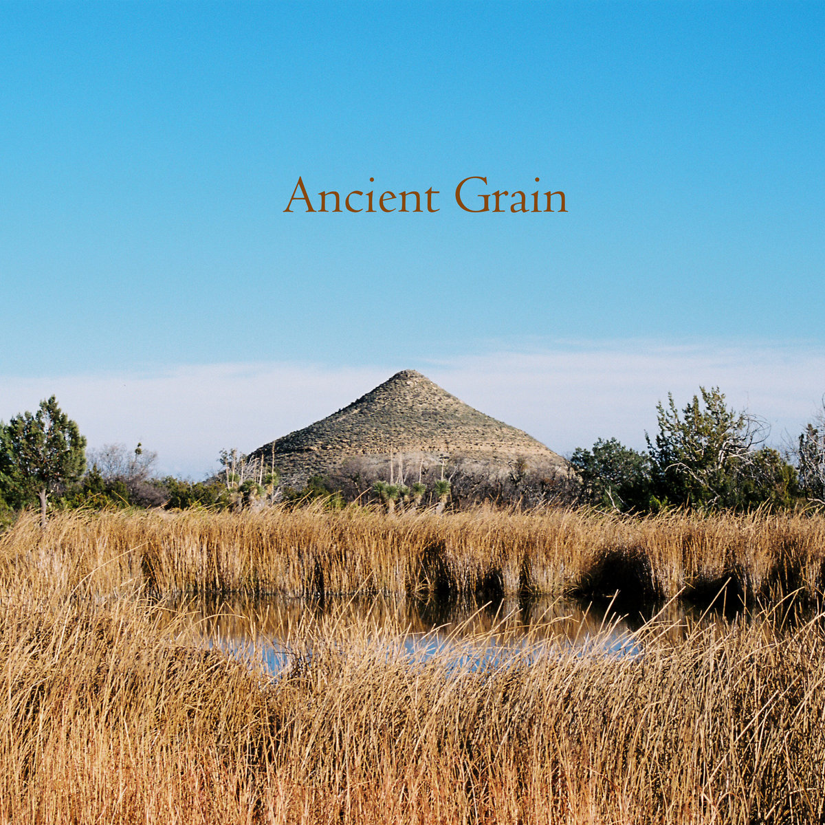 Ancient Grain | Ancient Grain