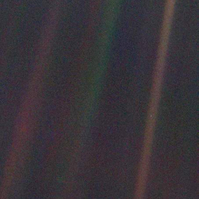 Reap (demo) | Paper Daisies