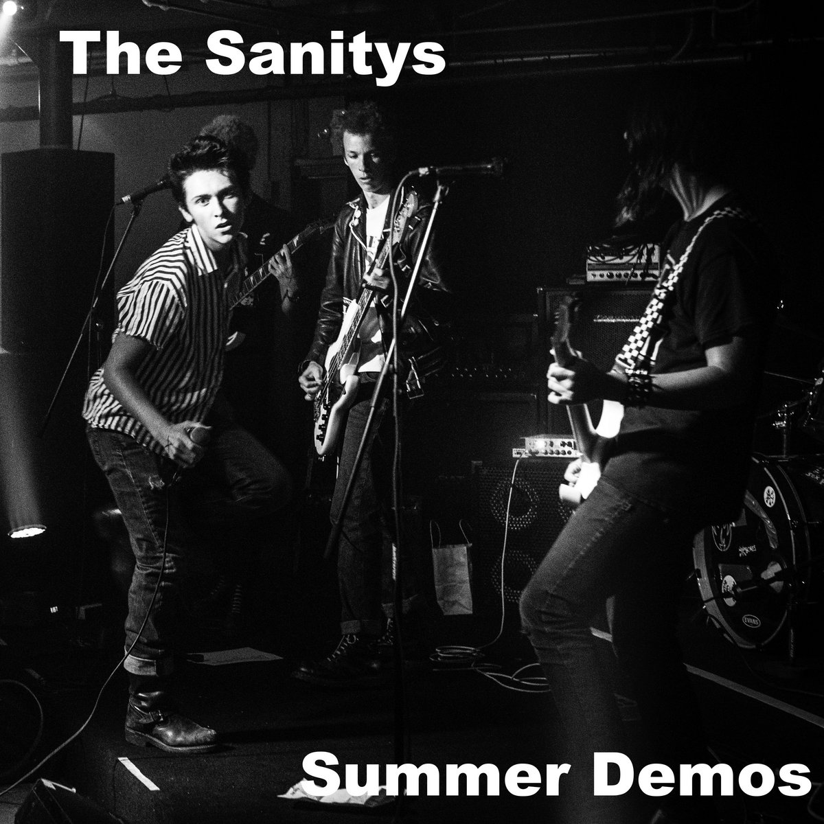 Summer Demos | The Sanitys