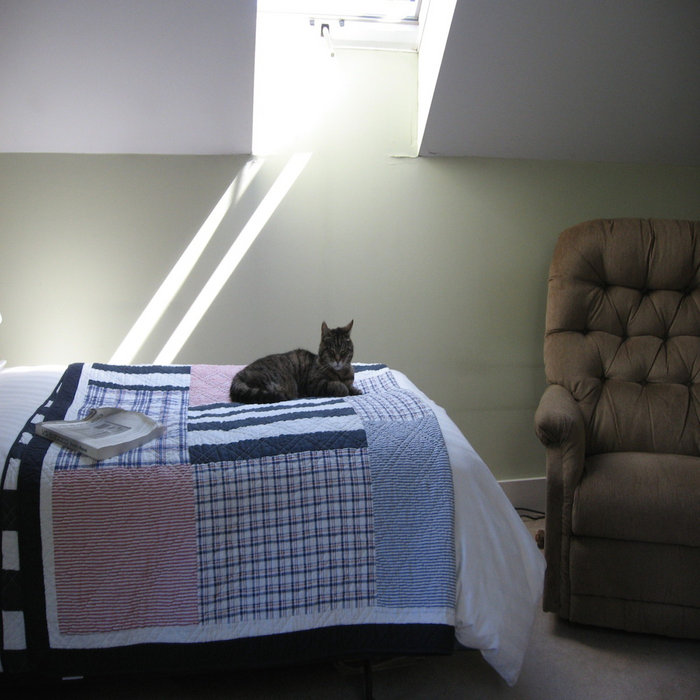 Zen Frank | Jackie Simons