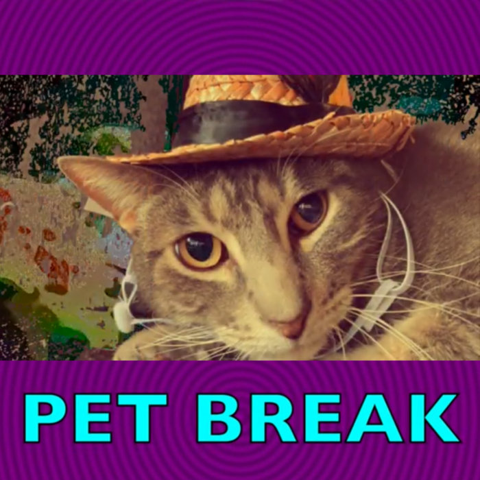 Pet Break (Original Soundtrack) | Boo Hiss and the GD tuning orchestra ...