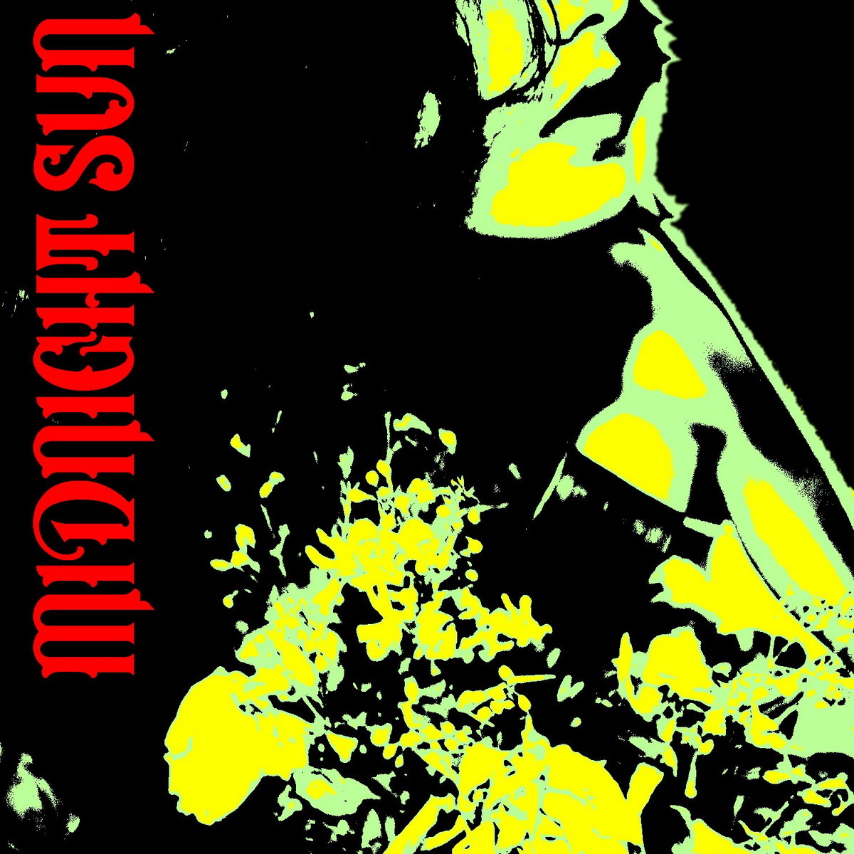 Midnight Sun | Midnight Sun