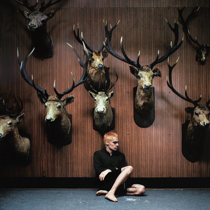 Deer Teeth | Sega Bodega