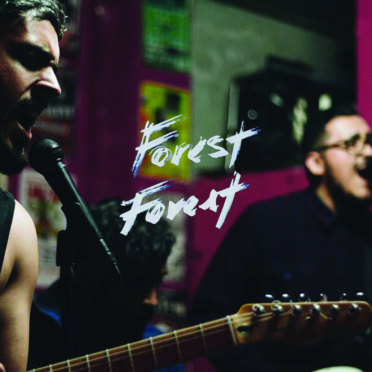 Forest Forest [2017] | Forest Forest