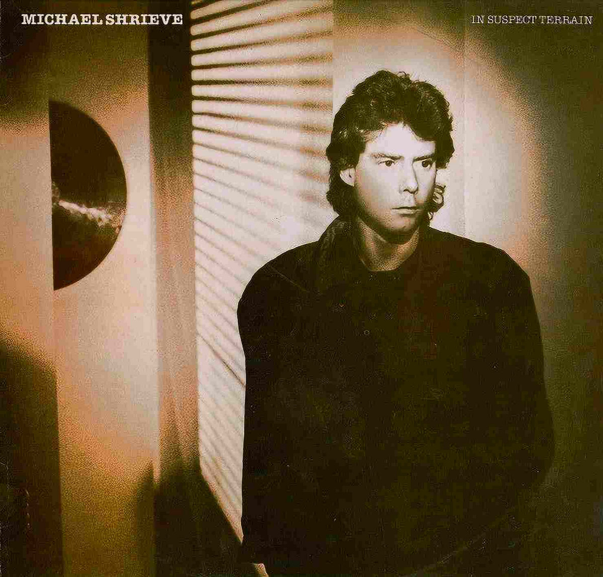 In Suspect Terrain | Michael Shrieve