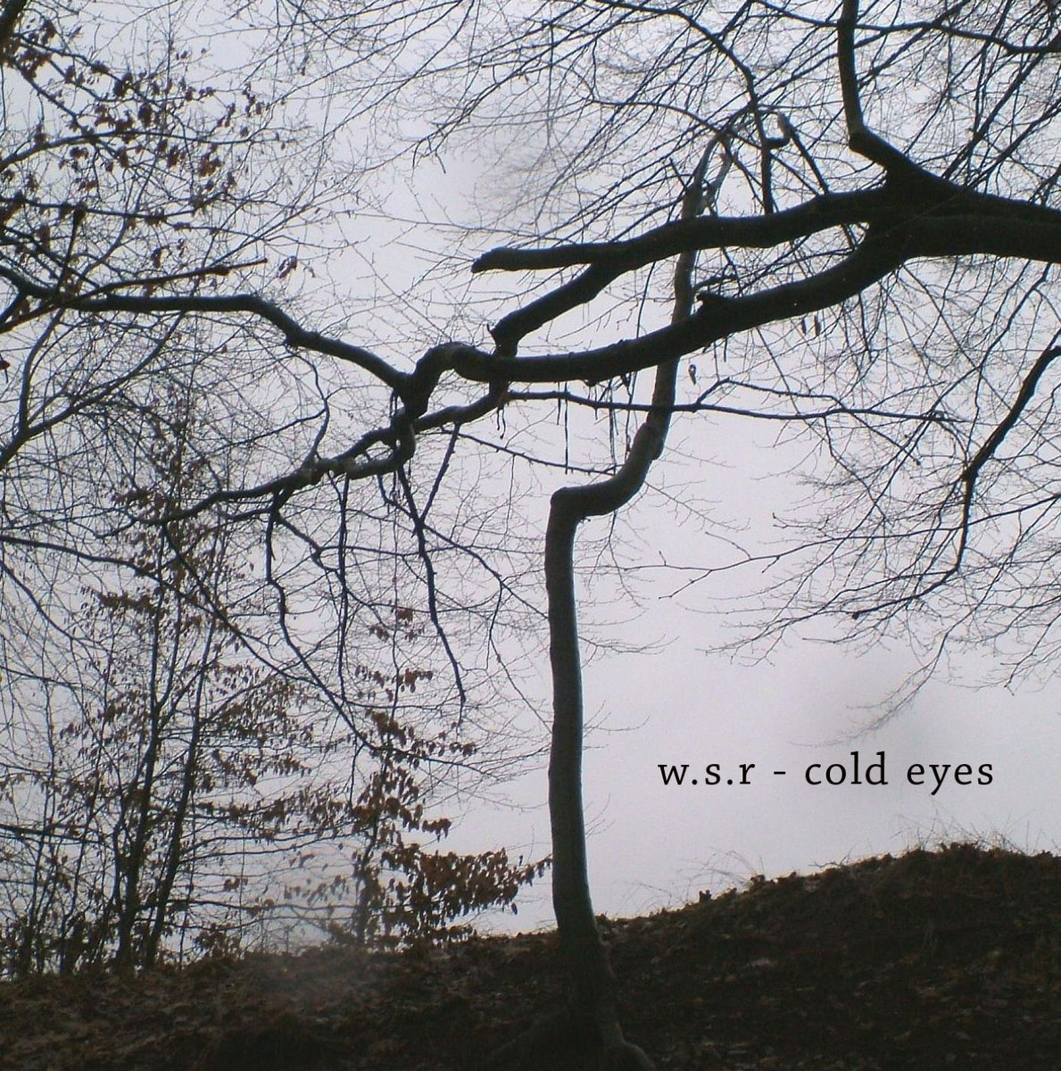 cold eyes | wild sound recover