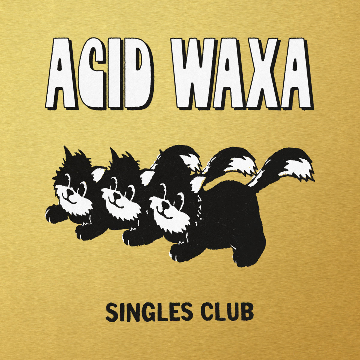 Golden Axcid | Christopher Rave | Acid Waxa