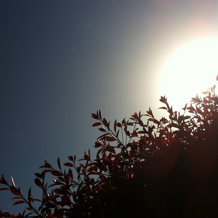 early works | Gallery Six