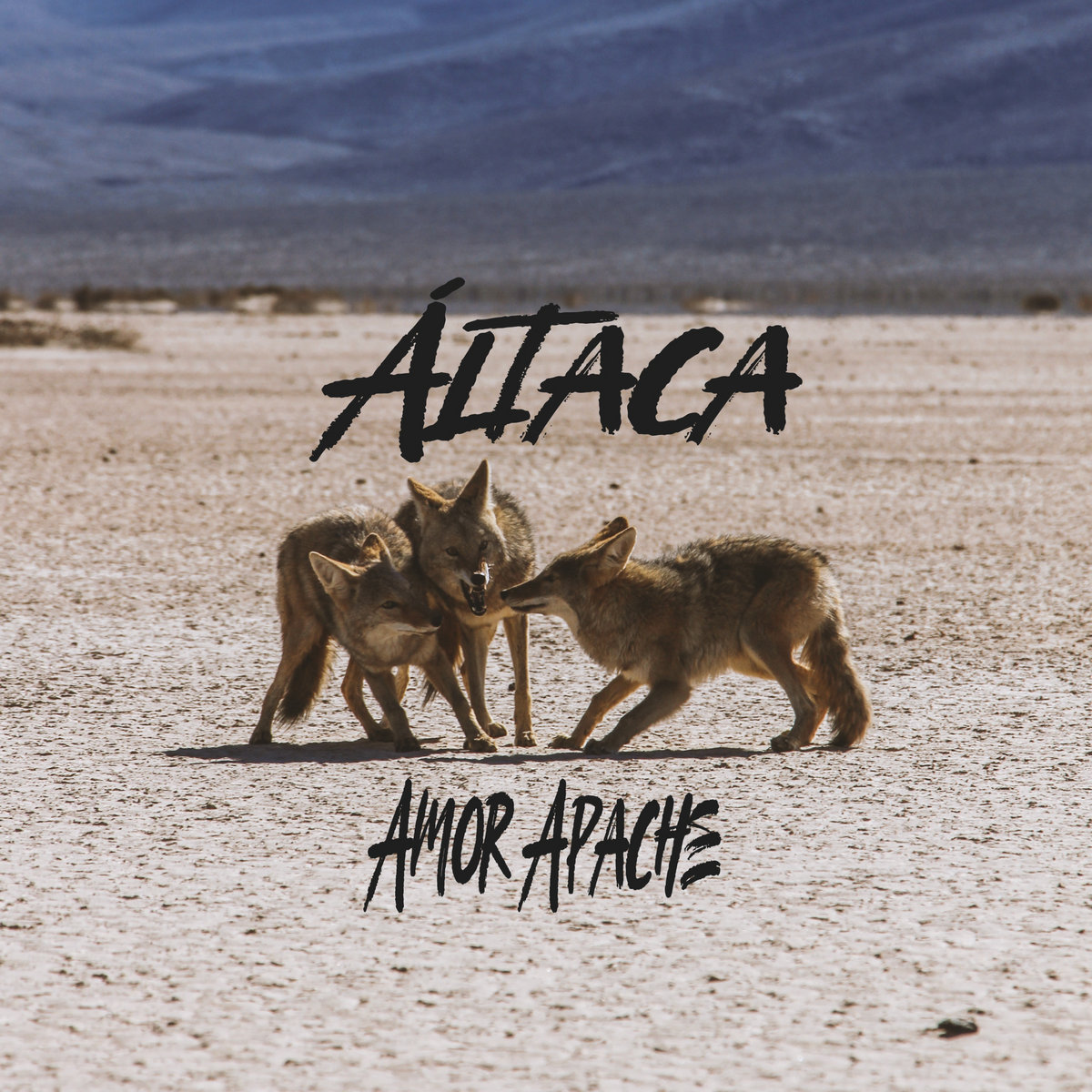 Amor Apache | Altaca