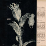 Decline and A Distraction | xccv