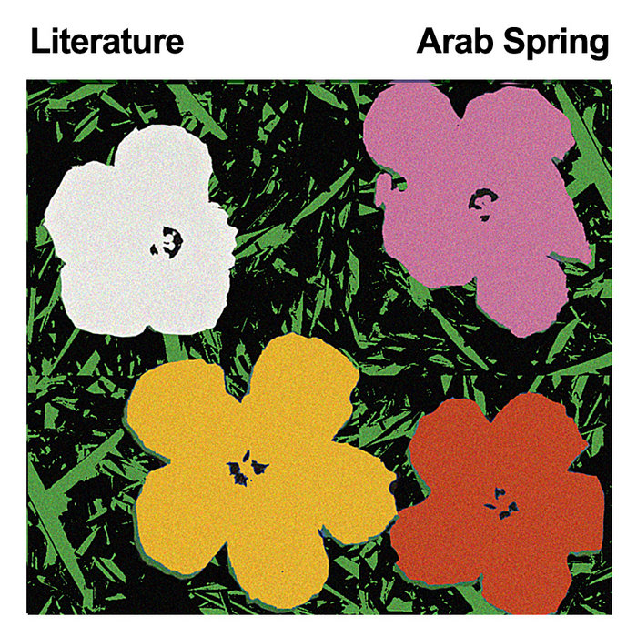 ARAB SPRING | Literature