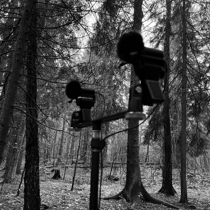 2023 - Various recordings and FX | Weird Pony Studio