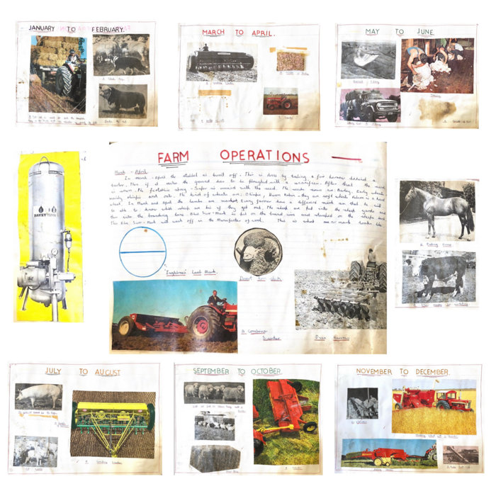 FARM OPERATIONS (UNMASTERED) | MITCH LANE