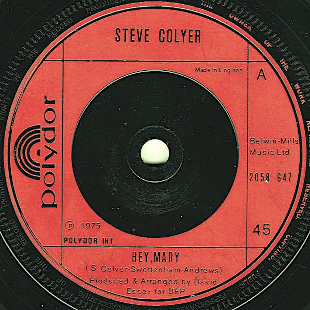 Hey Mary | Steve Colyer | Tim "Chris" Andrews