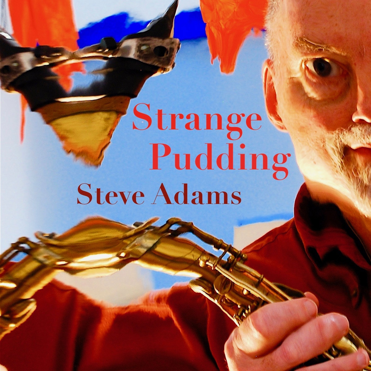 Strange Pudding | Steve Adams