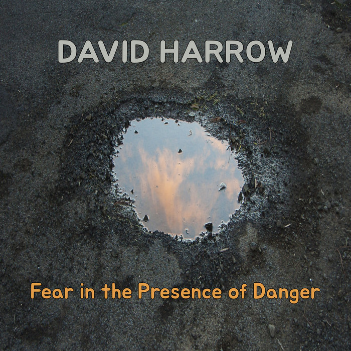 Fear in the Presence of Danger | David Harrow