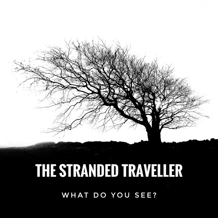 What Do You See? | The Stranded Traveller