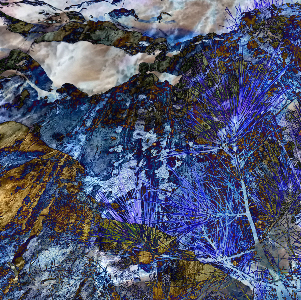 Sierra Coma Blue | Weehawken | Chris Szkoda