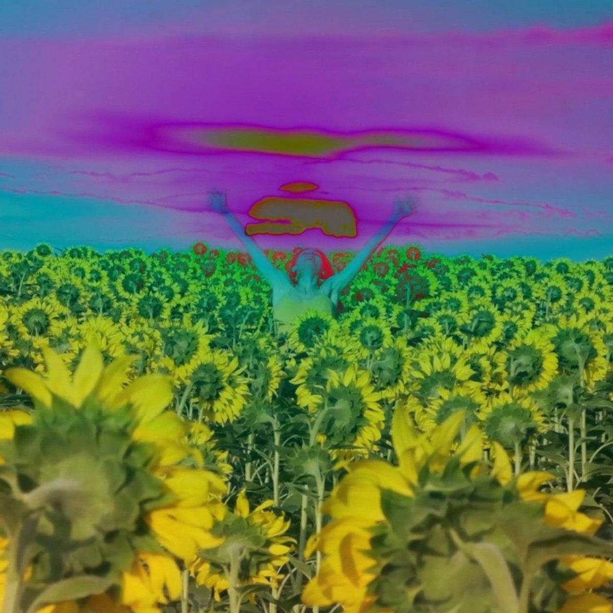 When Silence Calls | Jef Bek