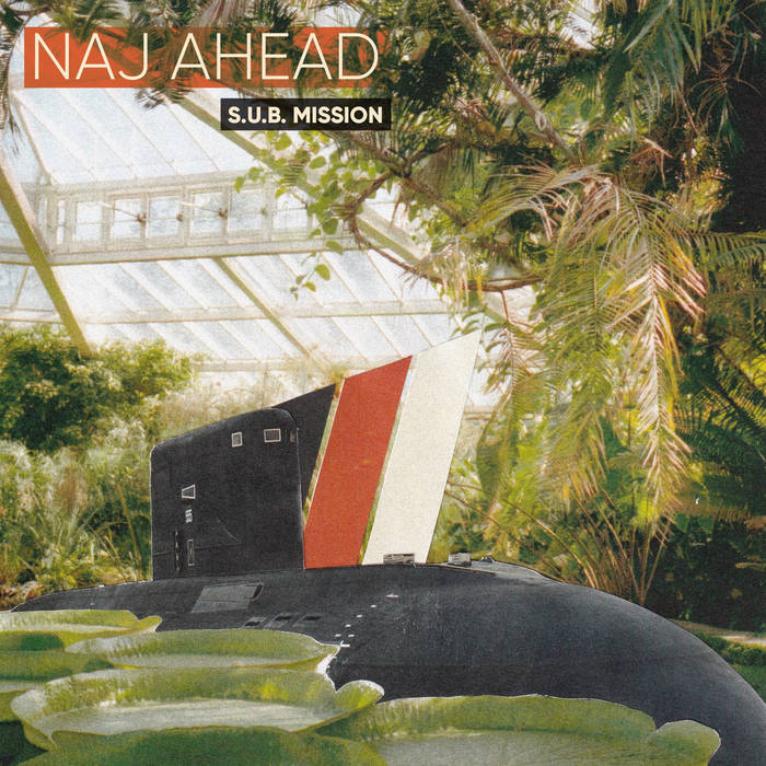 Kendrick Lamar Swimming Pools Album Cover