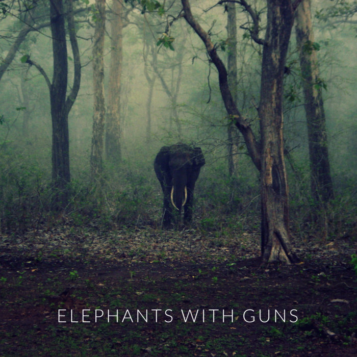 Elephants With Guns | Elephants with Guns