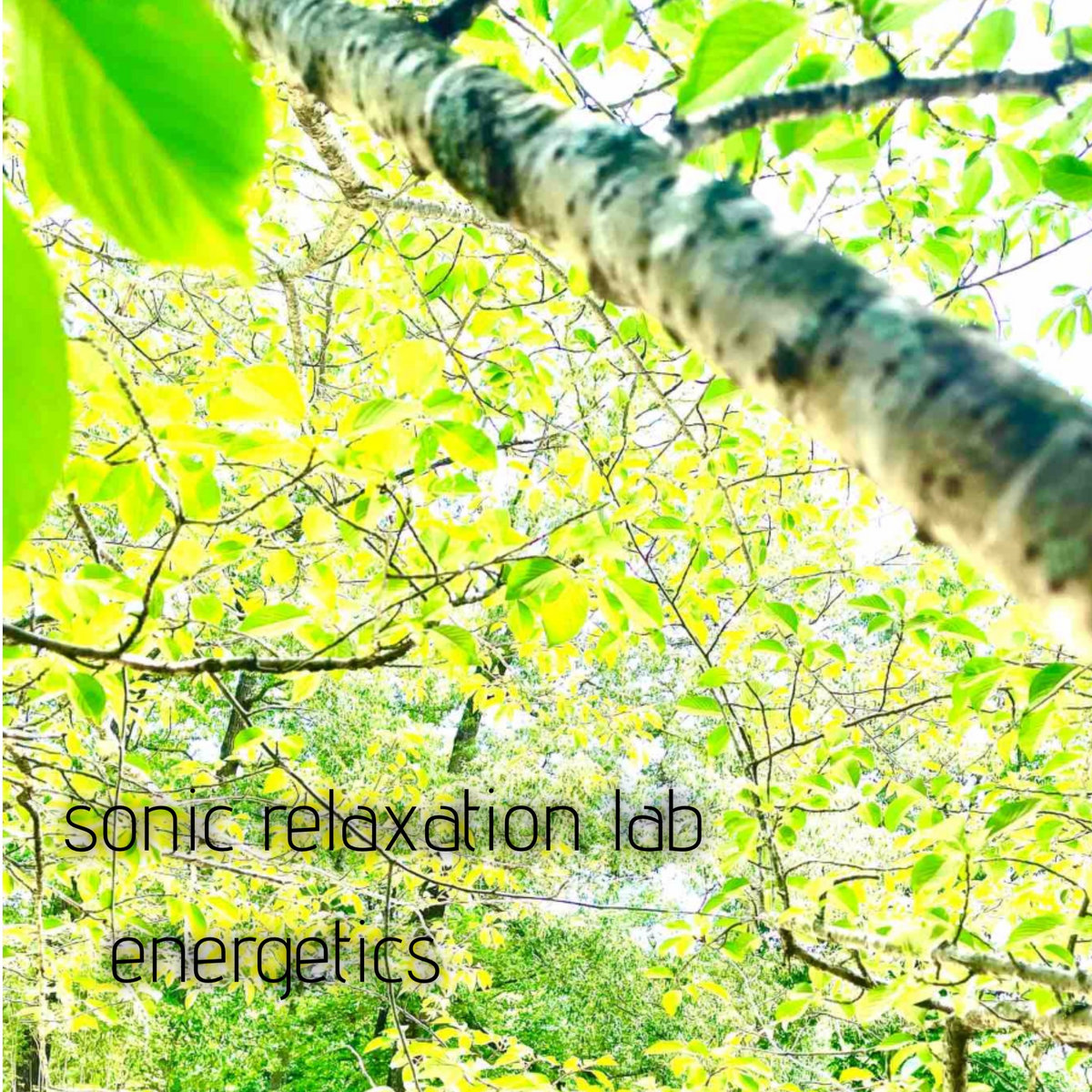 energetics | Sonic Relaxation Lab