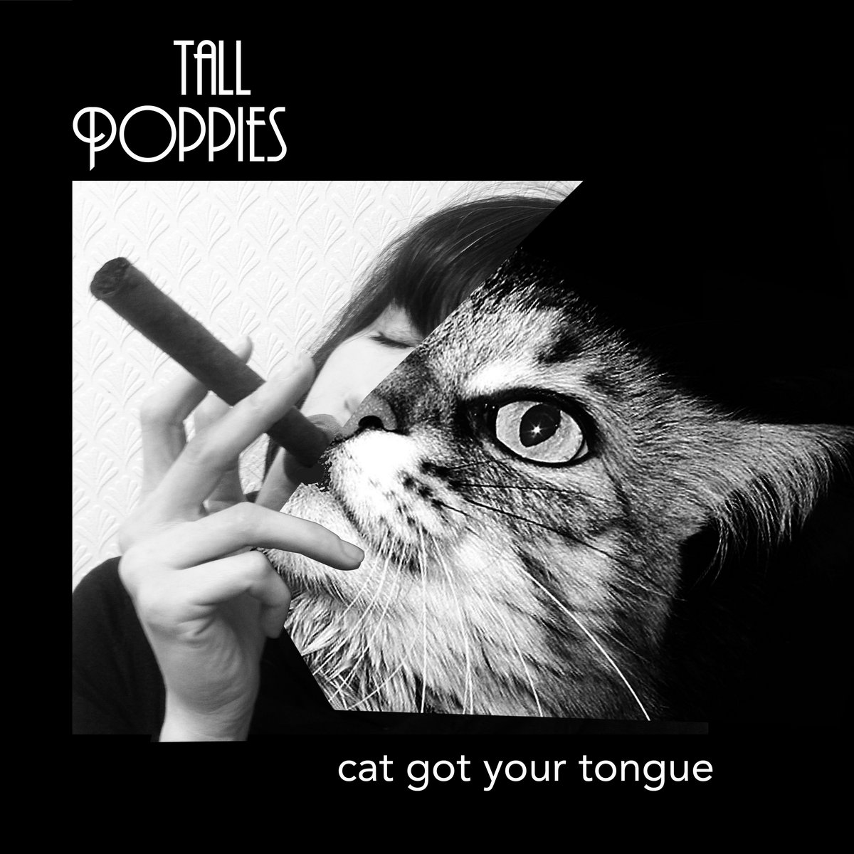 Cat Got Your Tongue