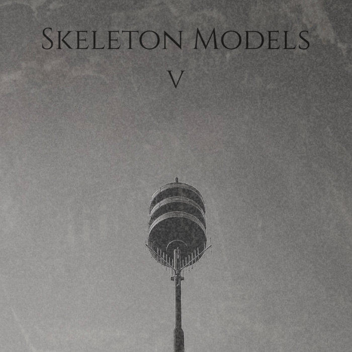 V | Skeleton Models