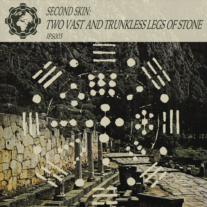 Two Vast and Trunkless Legs of Stone | Second Skin | In Plain Sight ...