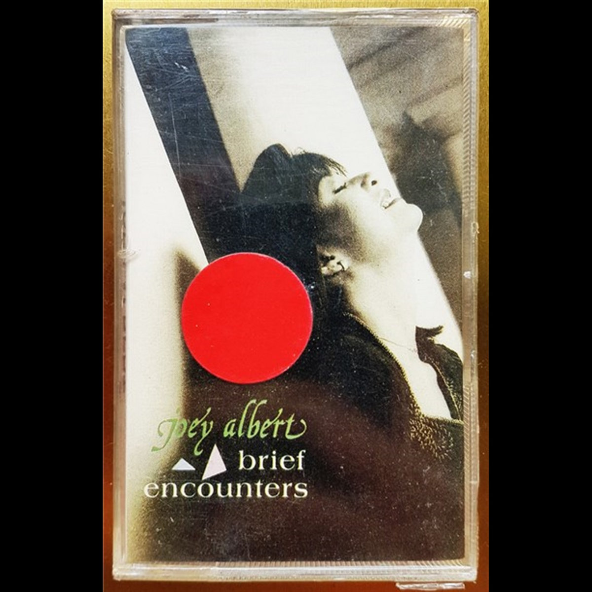 Brief Encounters | Joey Albert