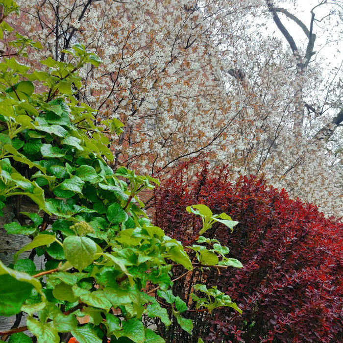 drone day 2020 | Mira Martin-Gray and Niamh Girling | cette records