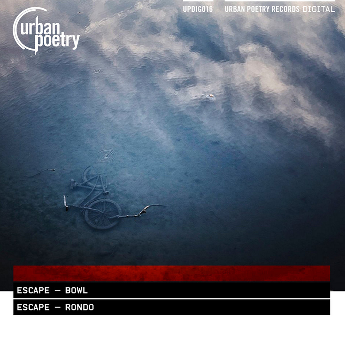 Bowl / Rondo | Cruel Culture
