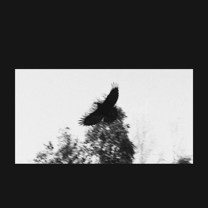 reaching in the dark | your somber eyes