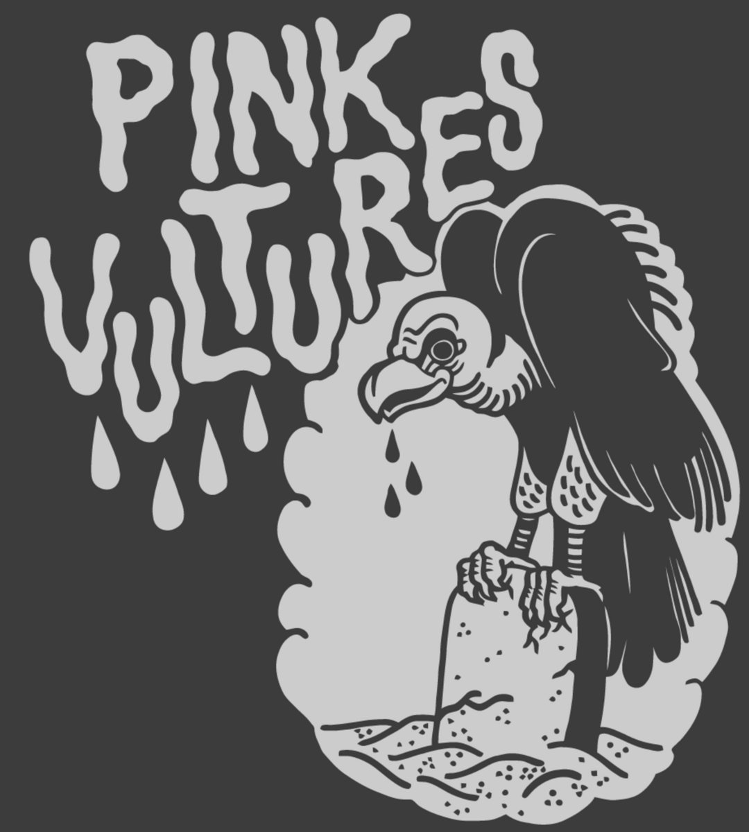PINK VULTURES | Pink Vultures