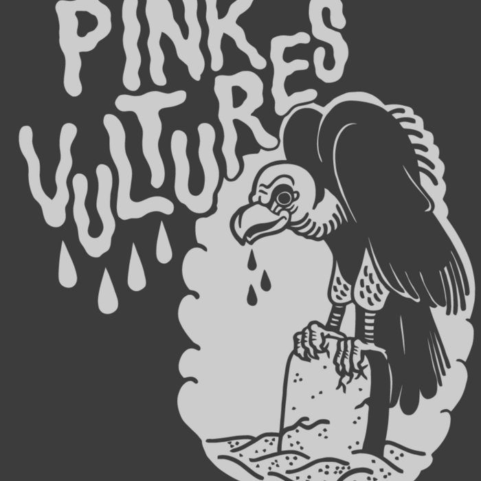 PINK VULTURES | Pink Vultures