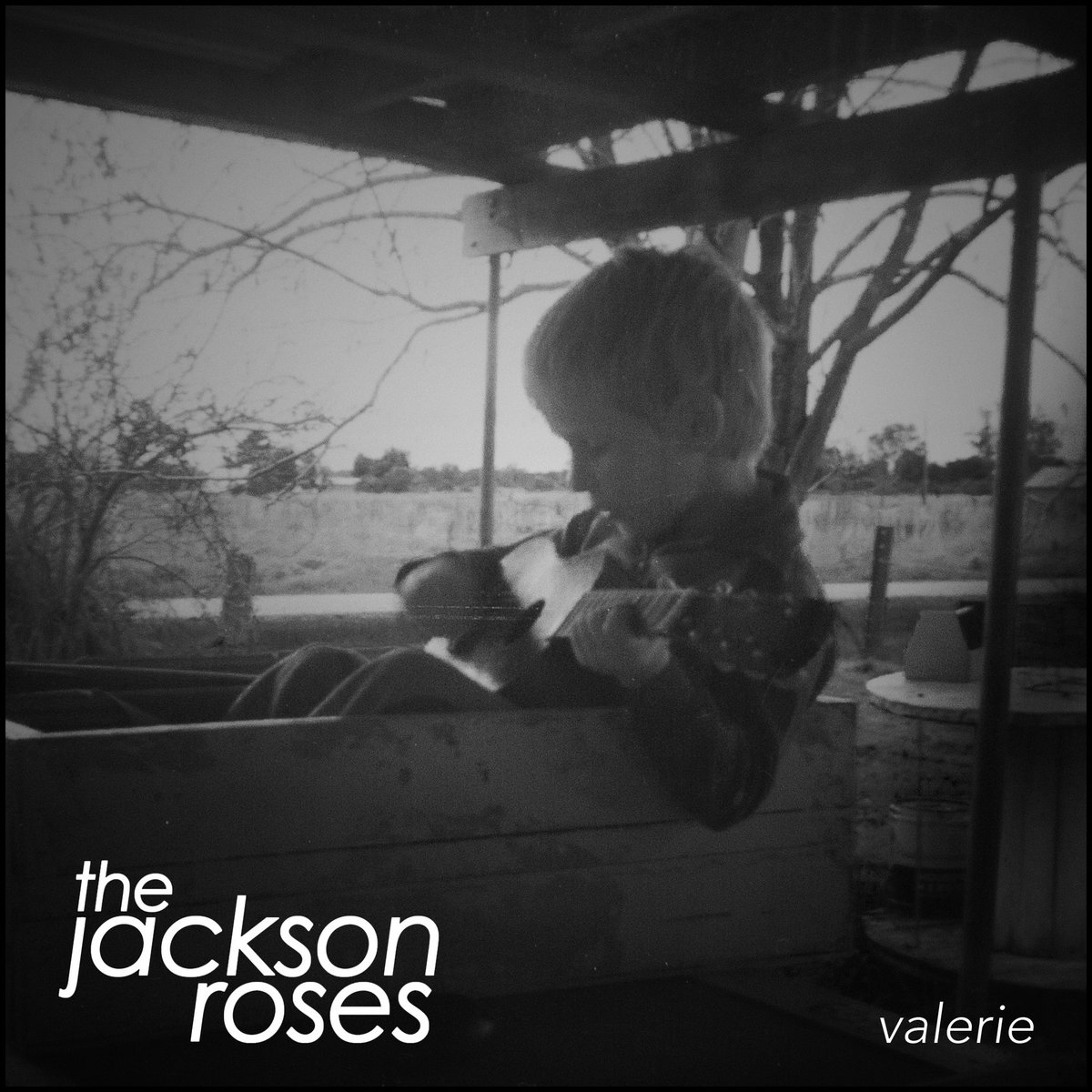 Valerie | The Jackson Roses