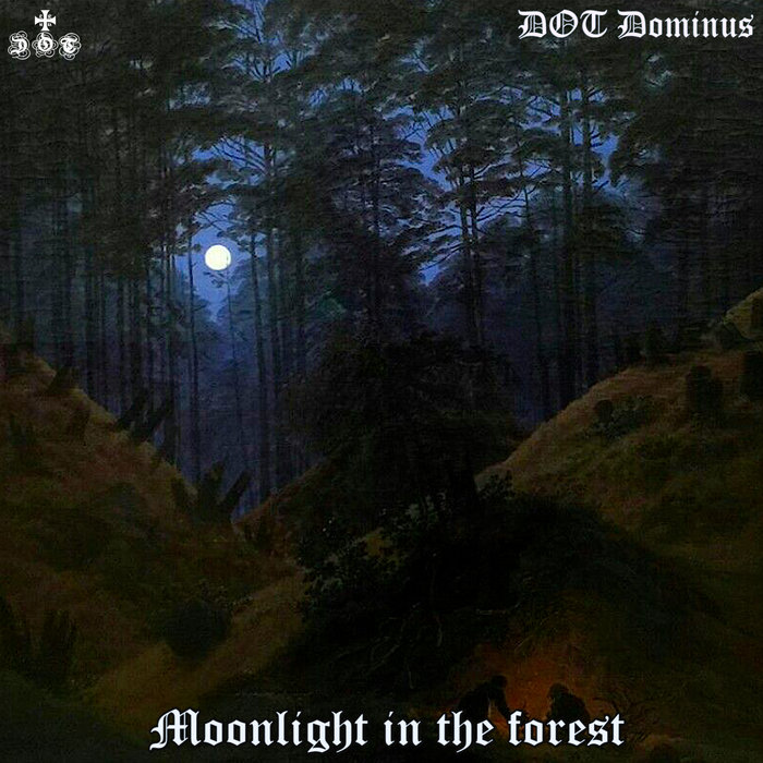 Moonlight in the forest | DOT Dominus