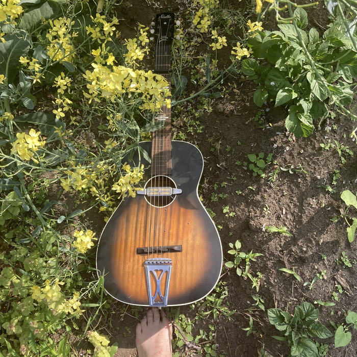Barefoot In The Garden | Forrest Gardner