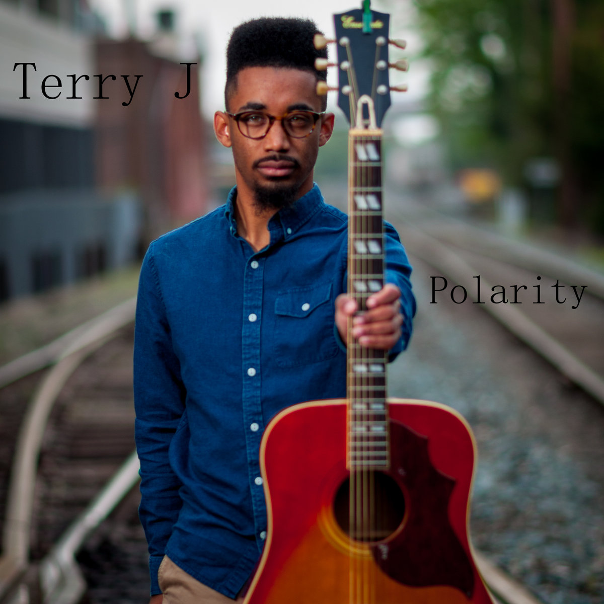 Polarity | Terry Stokes