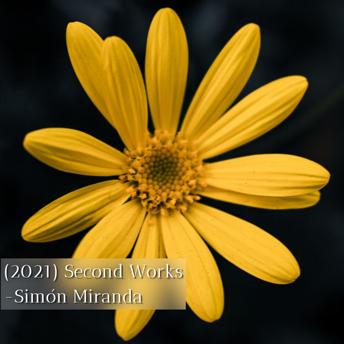 (2021) Second Works | Simón Miranda