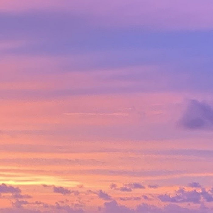 Fresh Focus | Tekemin