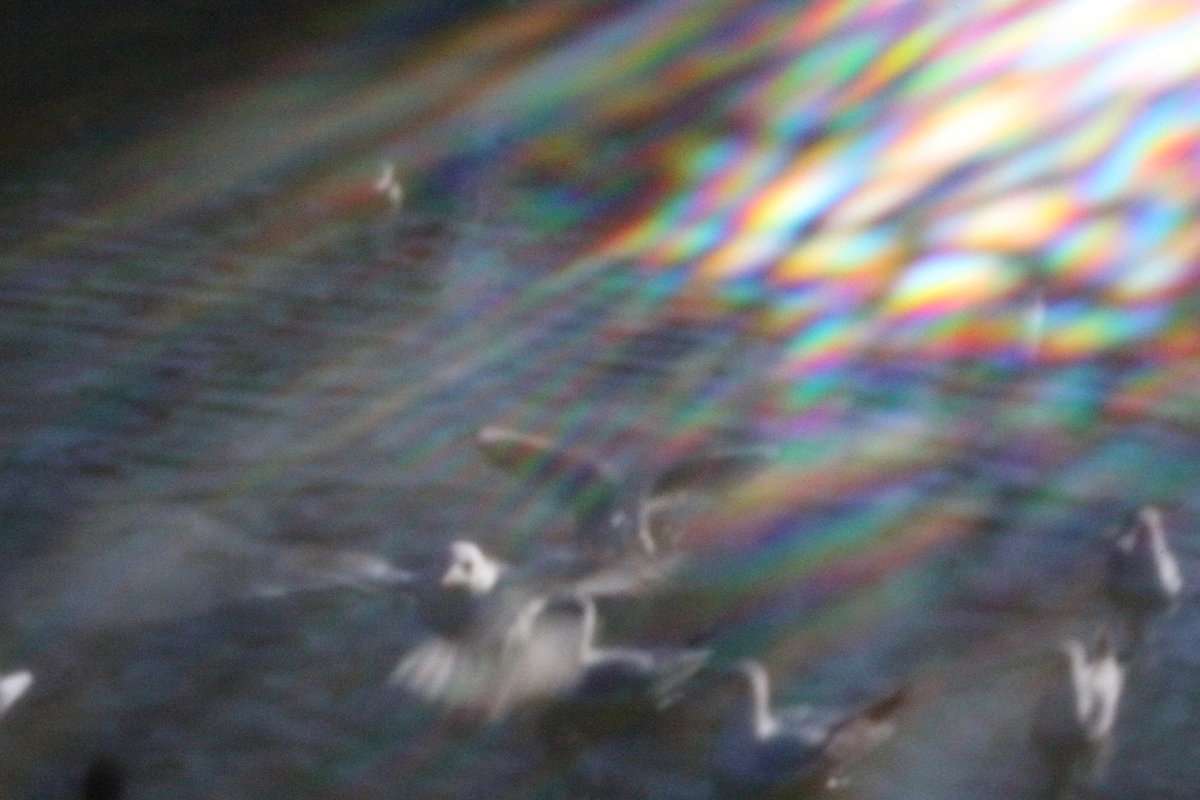 きえものエンドレス (Kiemono Endless) | Hisato Higuchi