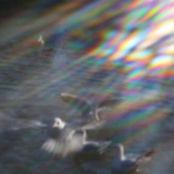 Music | Hisato Higuchi