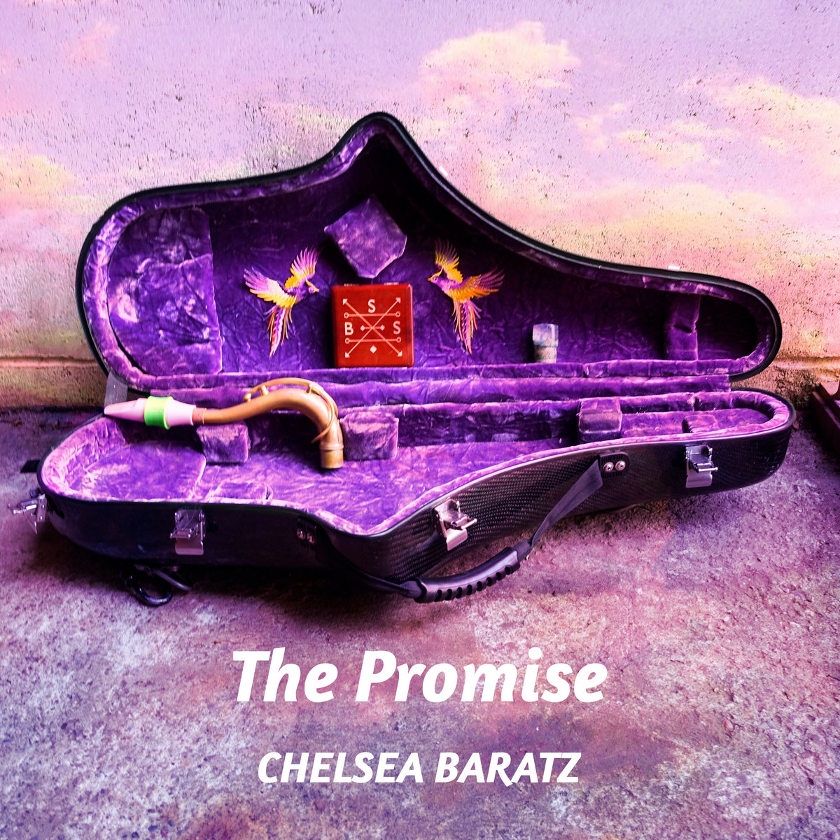 The Promise | Chelsea Baratz