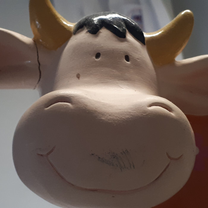 The Dart Knights | FOMP